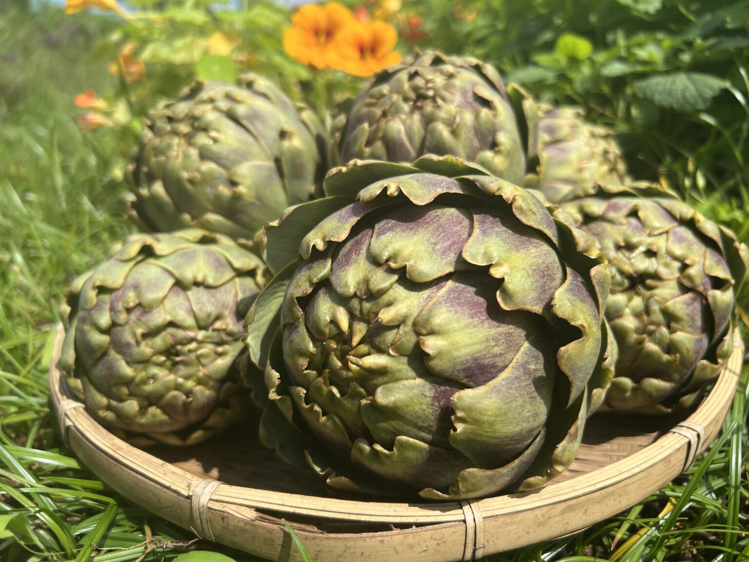 デーメテールの恵み | Farm to Table